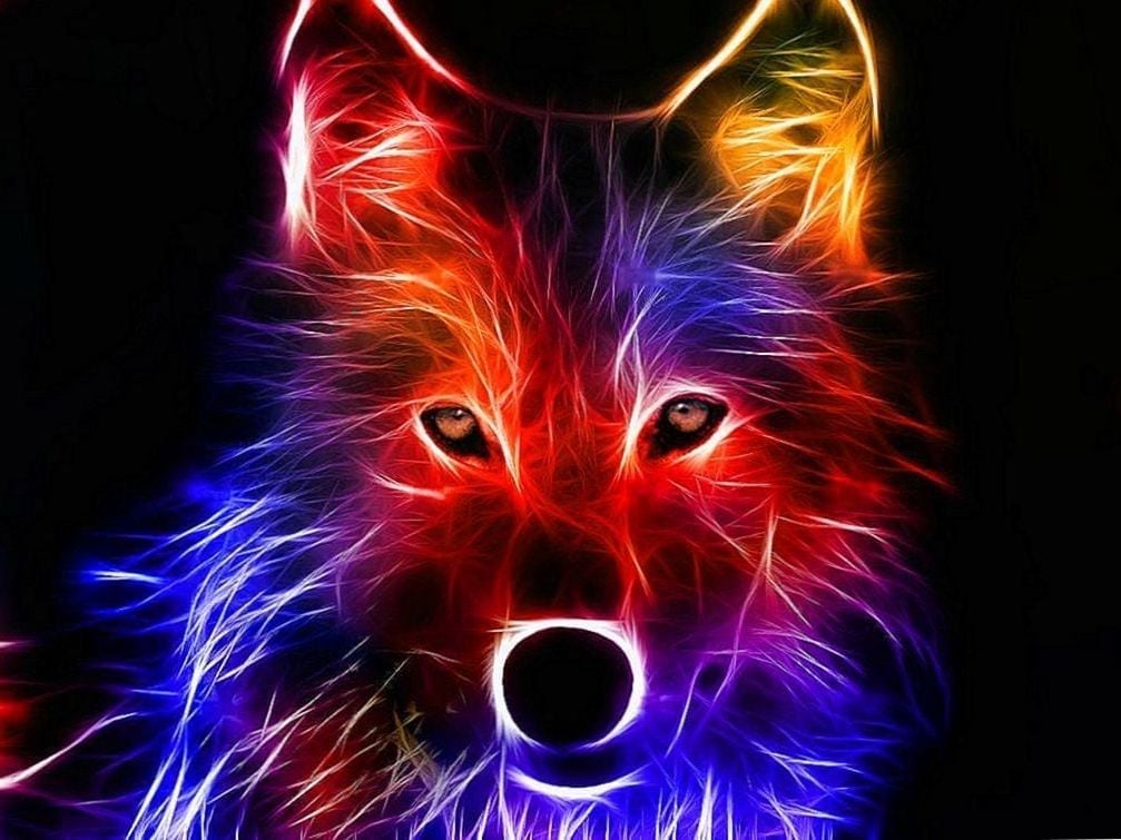 3d Wolf Wallpapers Hd - Wolf Glow In The Dark- WallpaperUse