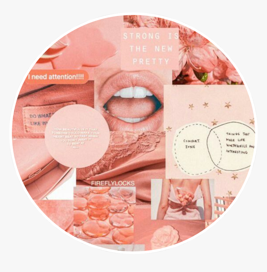 hd wallpaper download,pink,head,circle,peach,plate (#2054) - WallpaperUse