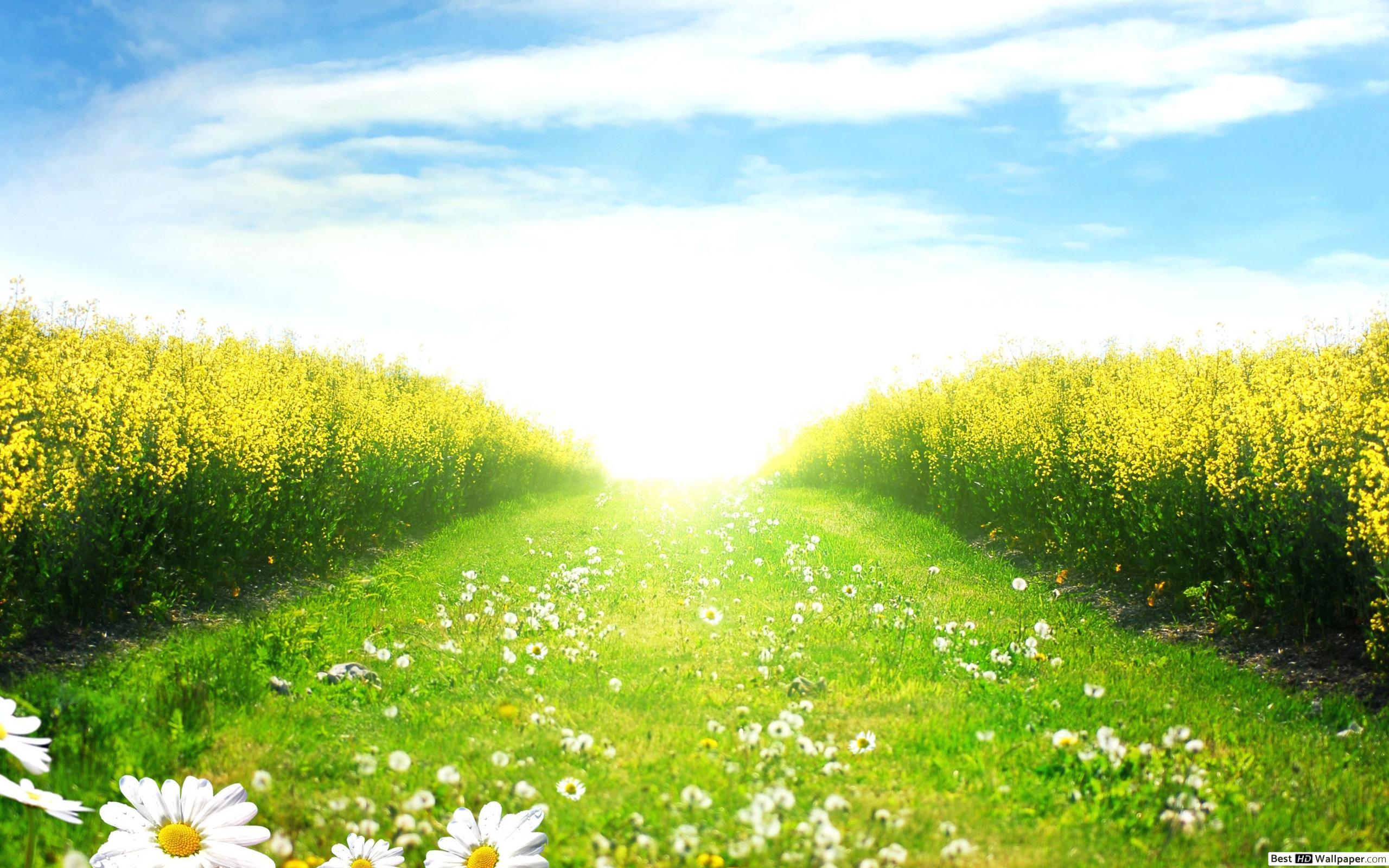 Go In Peace Quotes- WallpaperUse