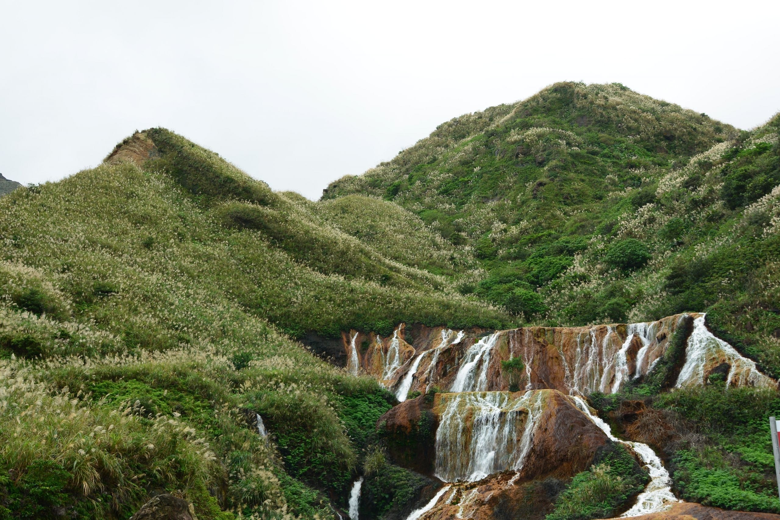 nature wallpaper,natural landscape,nature,vegetation,nature reserve ...