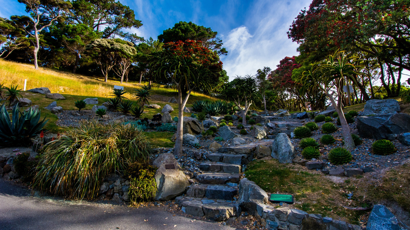 Wellington New Zealand Nature- WallpaperUse