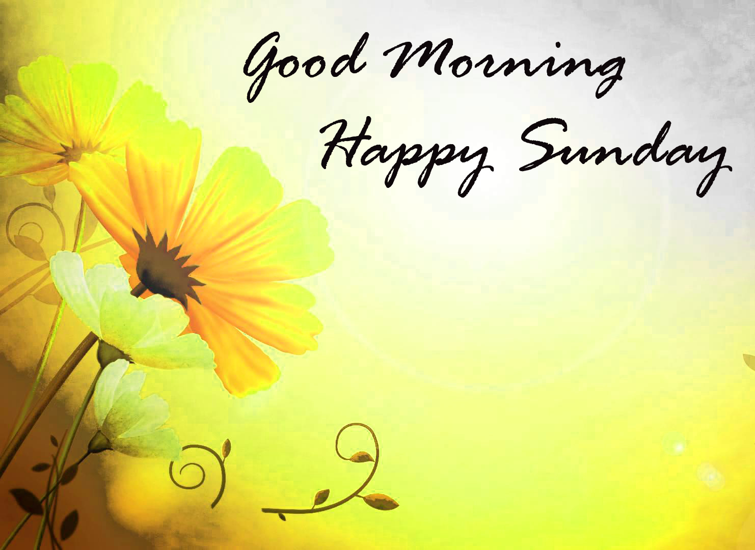 Good Morning Wallpaper For Whatsapp yellow text morning font flower