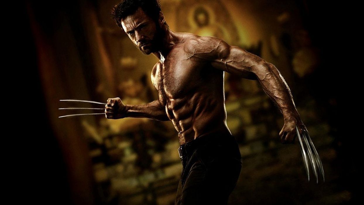 wolverine wallpaper,muscle,human,wolverine,photography,fictional ...