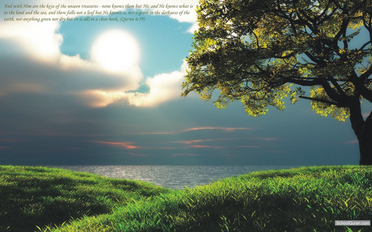 islamic wallpaper hd,sky,natural landscape,nature,green,grass (#14694 ...