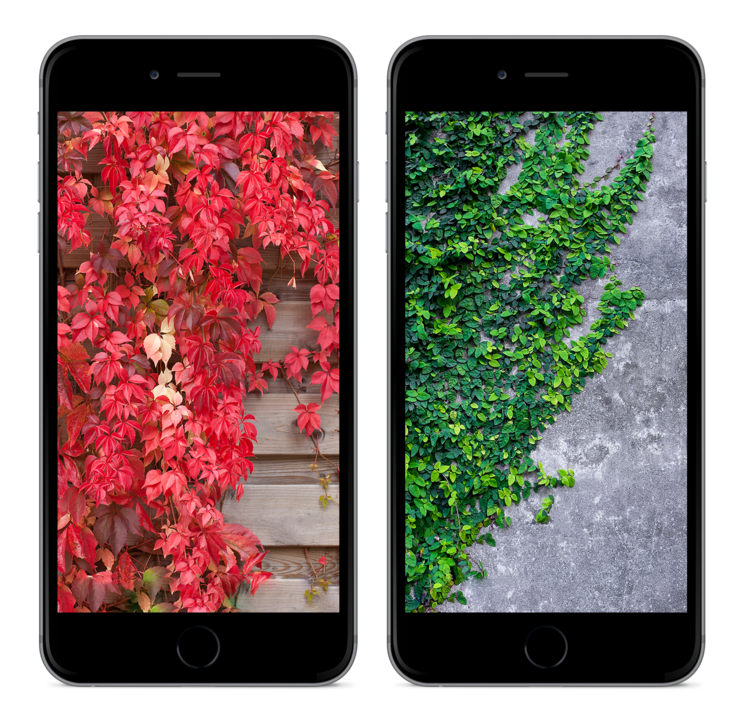Ios 10 Home App Wallpapers Kiwimanjaro - Homekit Hintergrundbilder ...