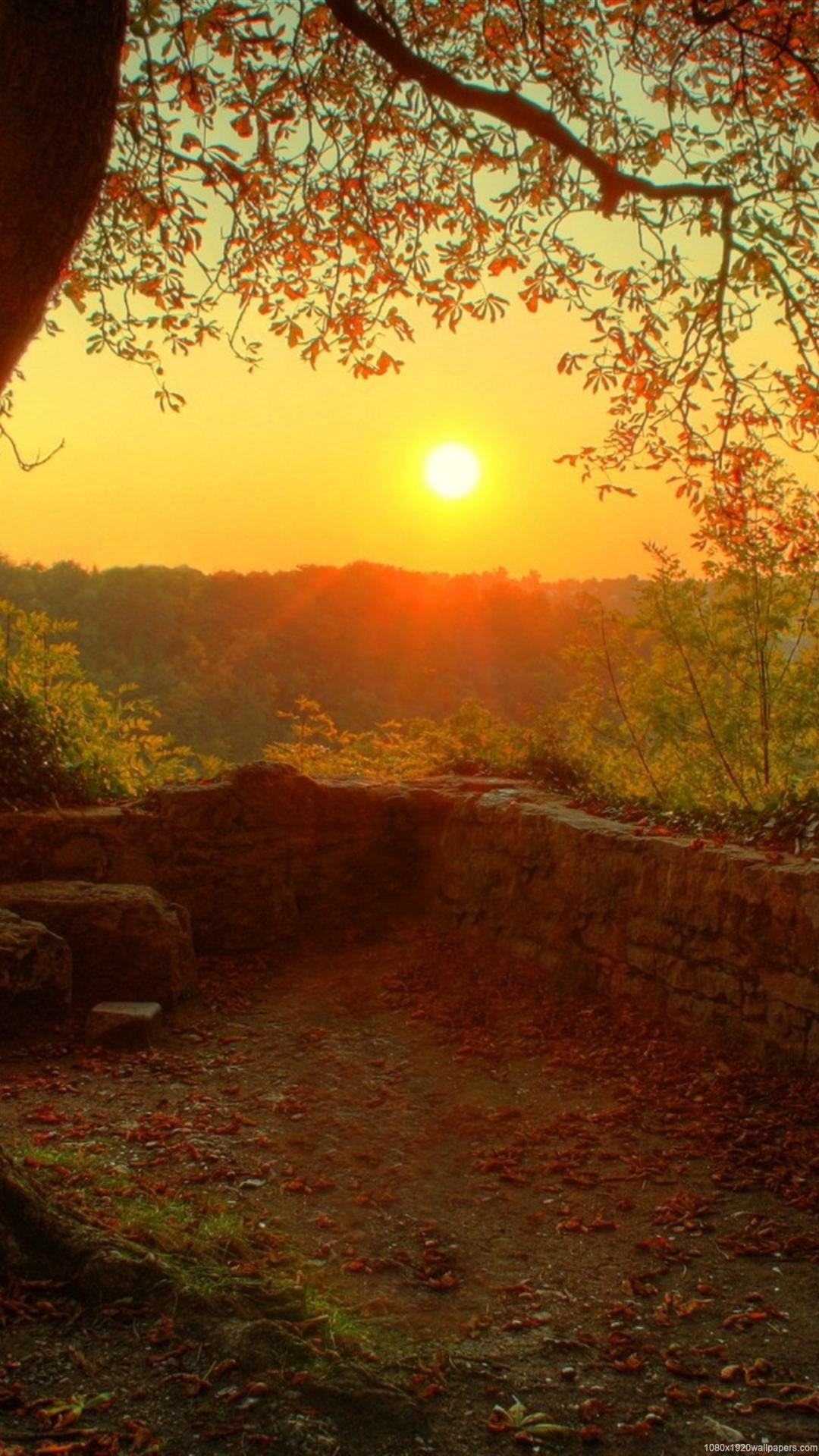 Nature Romantic Tree Autumn Line Wallpapers Hd - Hello October Birthday ...