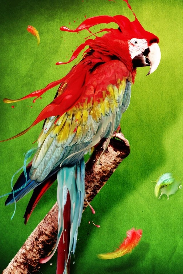 fondo de pantalla móvil hd pantalla táctil,pájaro,guacamayo,loro ...
