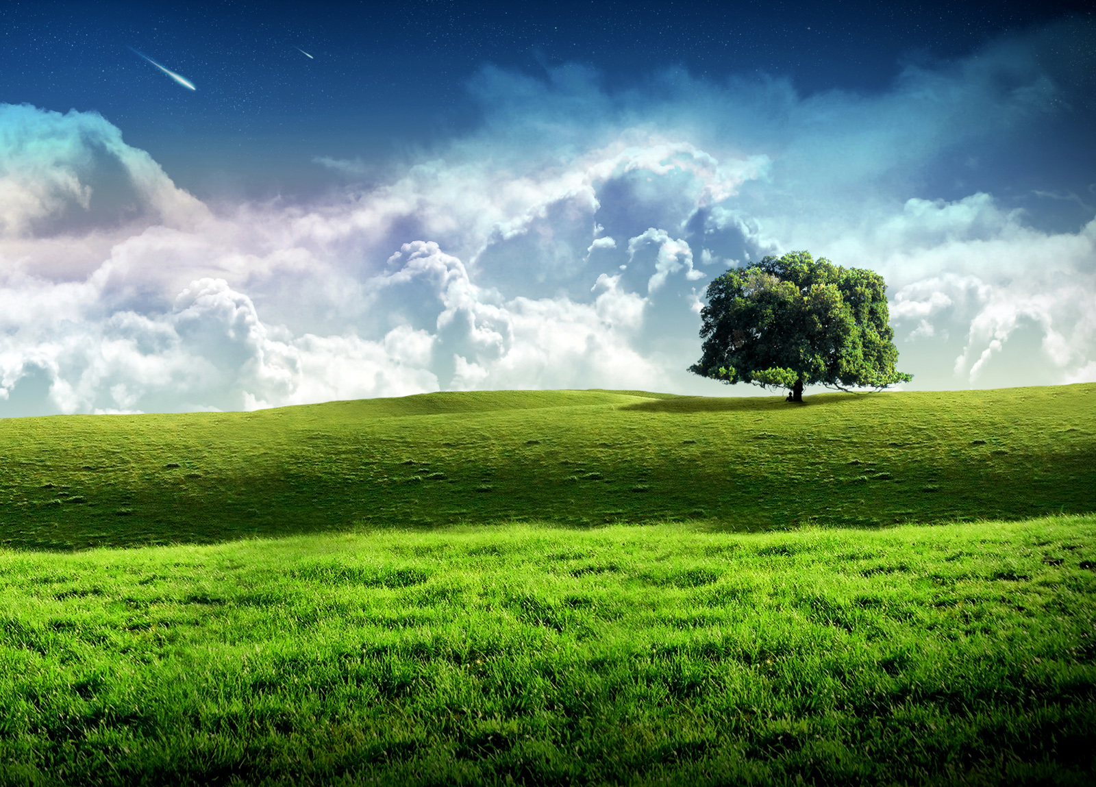 Themes Wallpaper Download Free- WallpaperUse