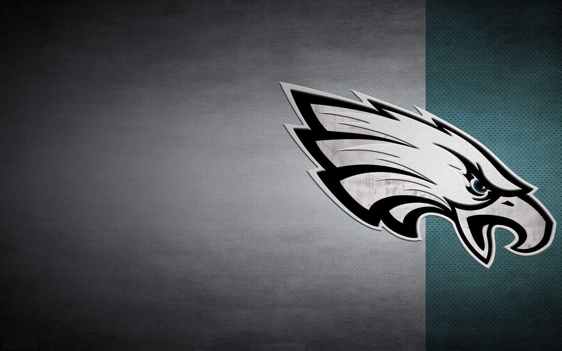 philadelphia eagles wallpaper,eagle,logo,wing,graphic design ...