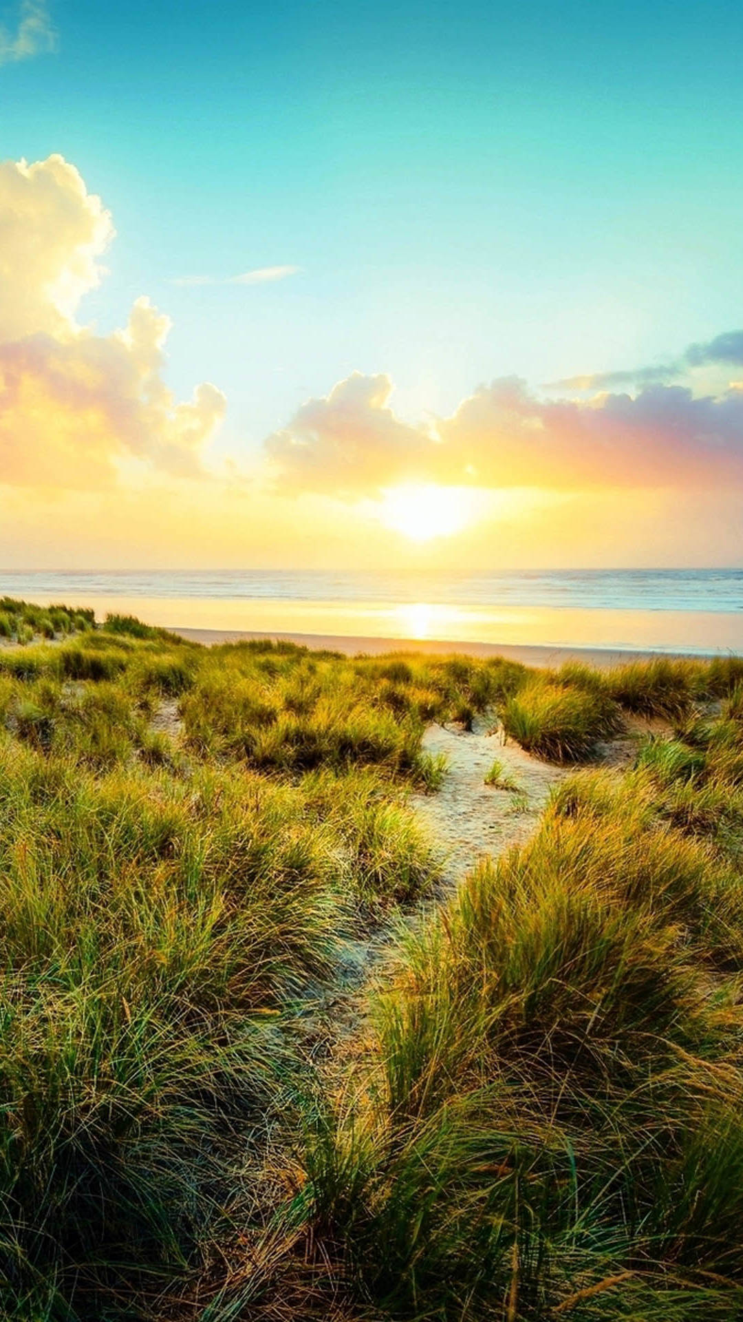 spring iphone wallpaper,natural landscape,nature,sky,vegetation,grass ...