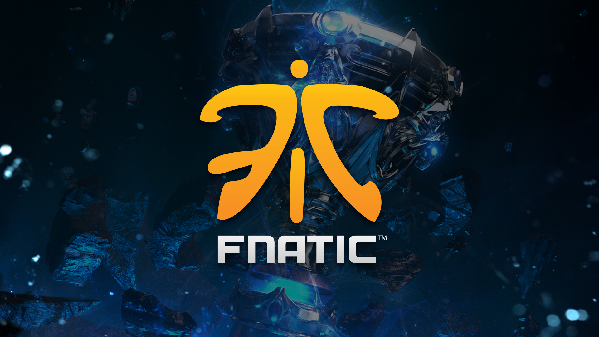 fnatic wallpaper,font,text,logo,graphic design,graphics (#1006539 ...