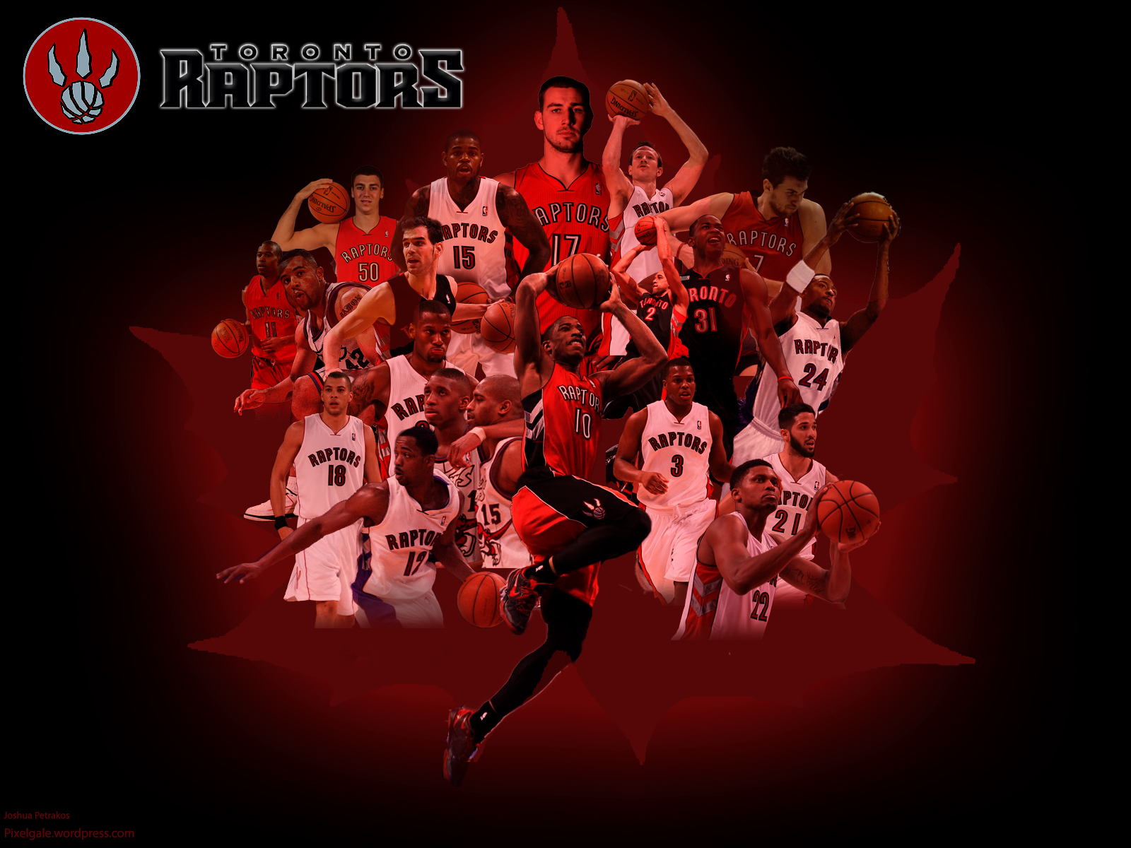 Candian Raptors - Toronto Raptors Team Background- WallpaperUse