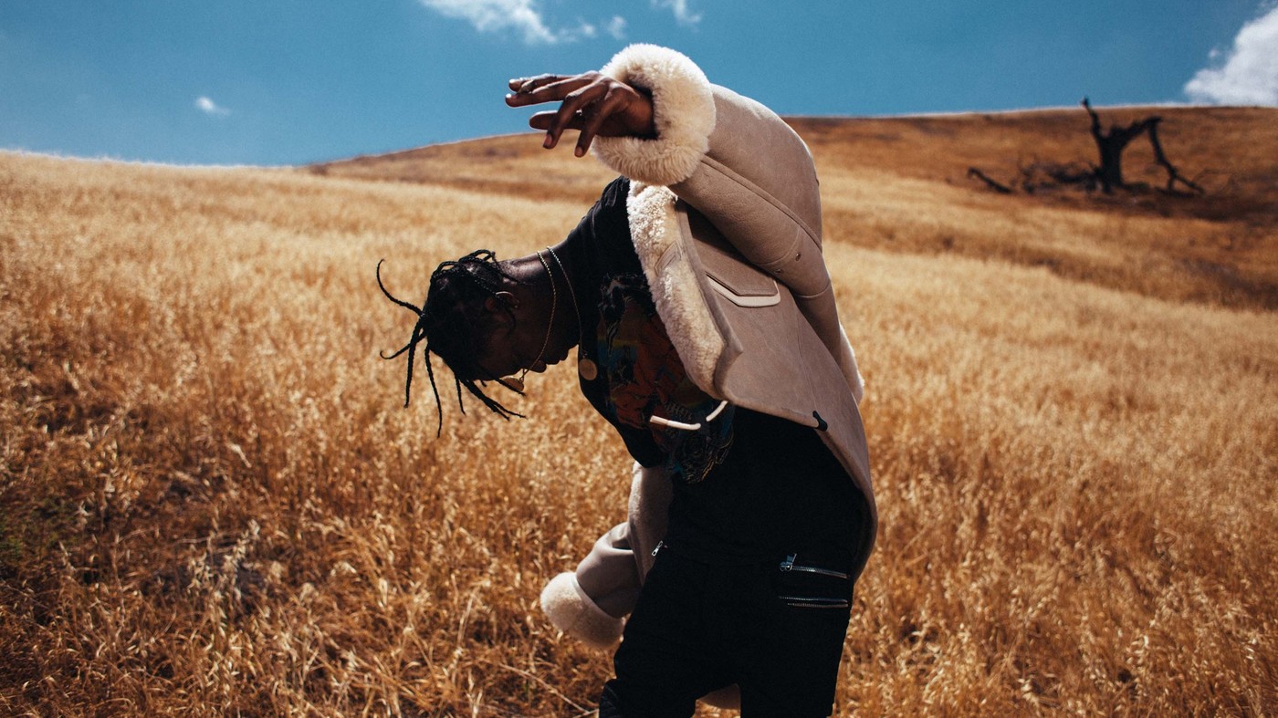 travis scott wallpaper,grasfamilie,wiese,gras,fotografie,savanne ...
