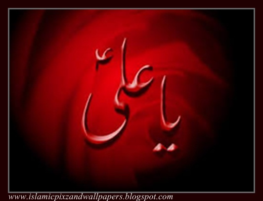 ali name wallpaper,red,calligraphy,text,still life photography,art ...