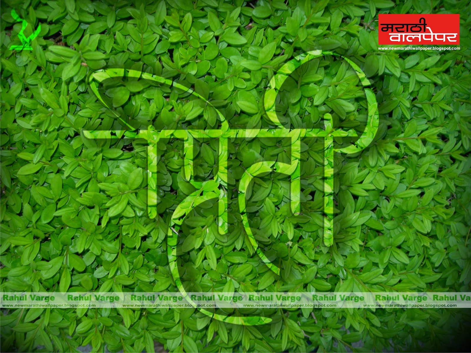 Amol Name Wallpaper - Small Leaves Texture- WallpaperUse