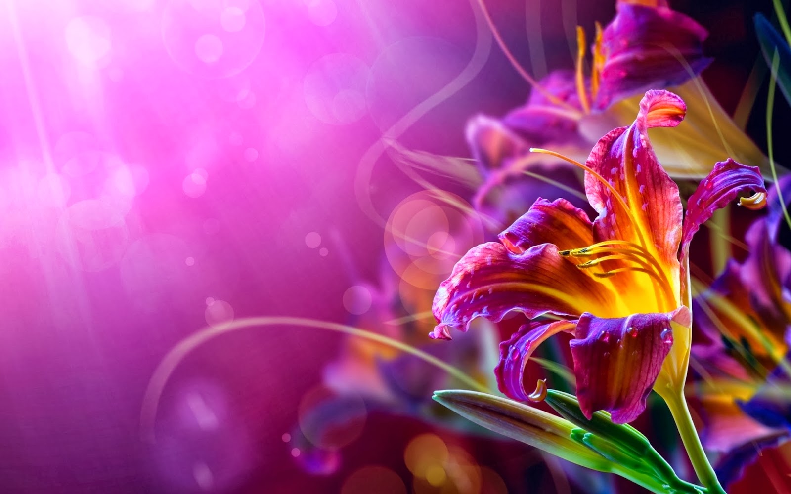 Wallpaper Bunga - Flower Background Hd- WallpaperUse