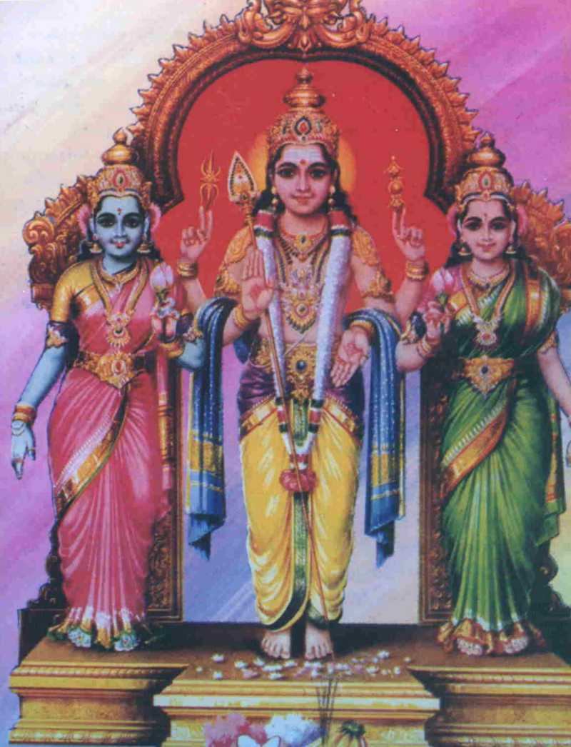 God Murugan With Wife- WallpaperUse