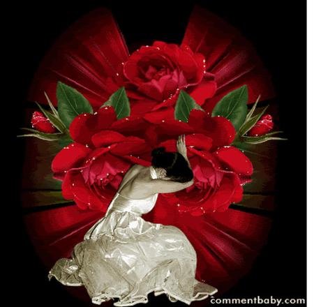 roj wallpaper,red,flower,petal,cut flowers,plant (#121798) - WallpaperUse