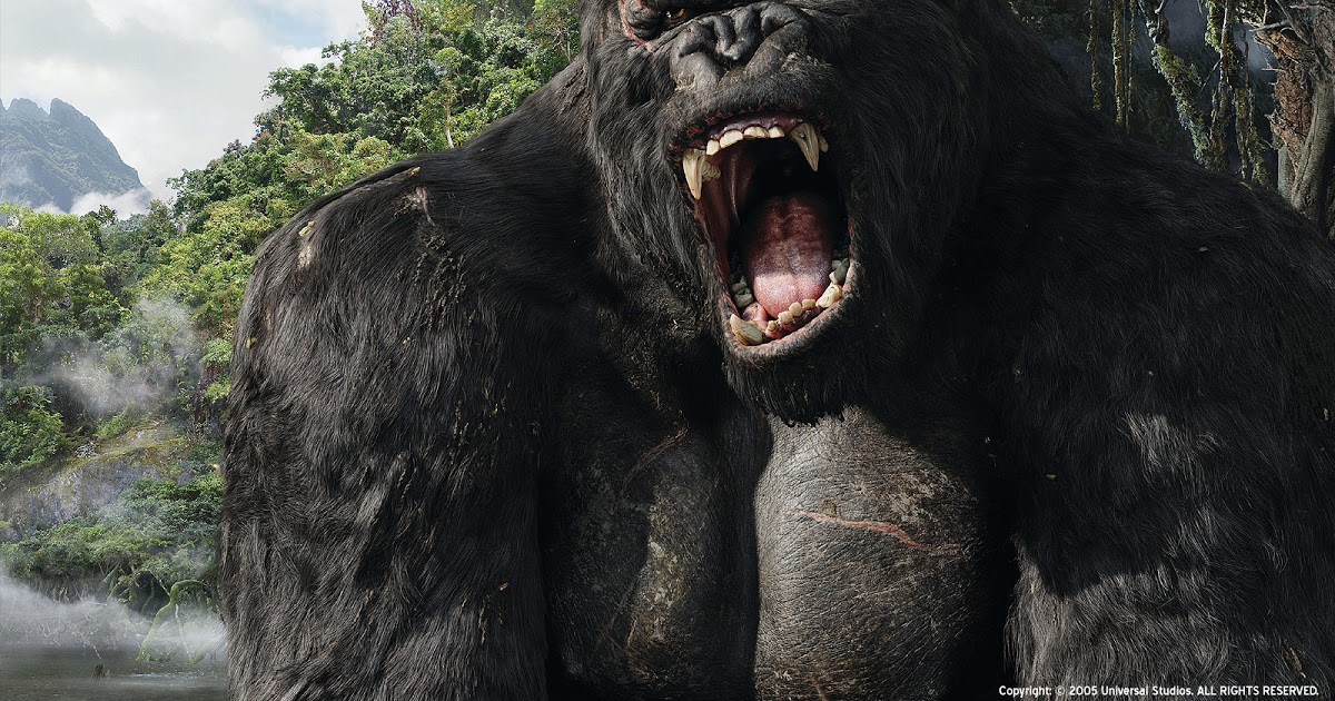 king kong wallpaper,facial expression,primate,common chimpanzee,snout ...