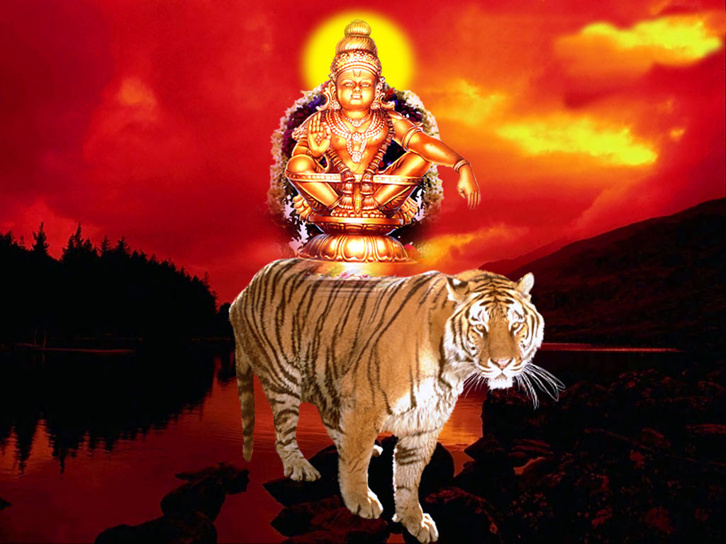 ayyappan wallpaper,tiger,bengal tiger,felidae,big cats,siberian tiger ...