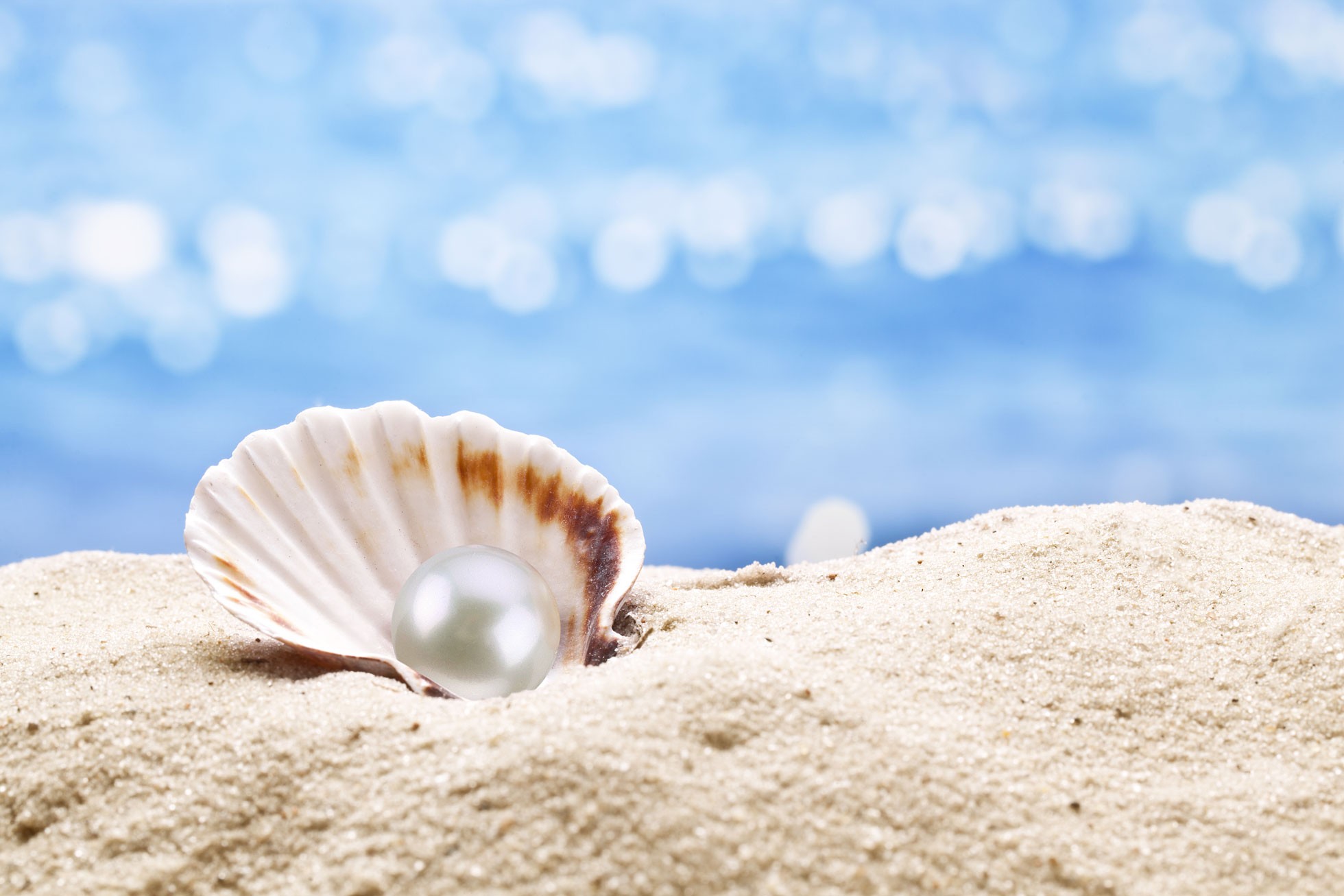 pearl wallpaper,shell,natural environment,sand,organism,sky (#130484 ...