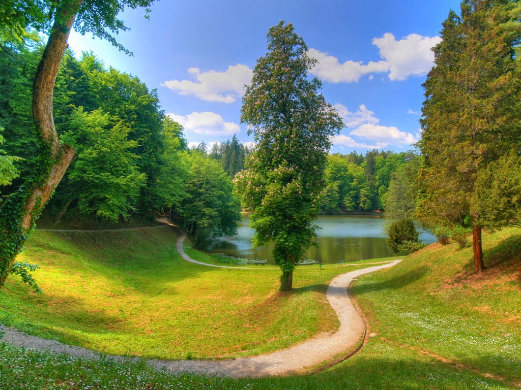 wallpaper pemandangan indah,natural landscape,nature,tree,natural ...