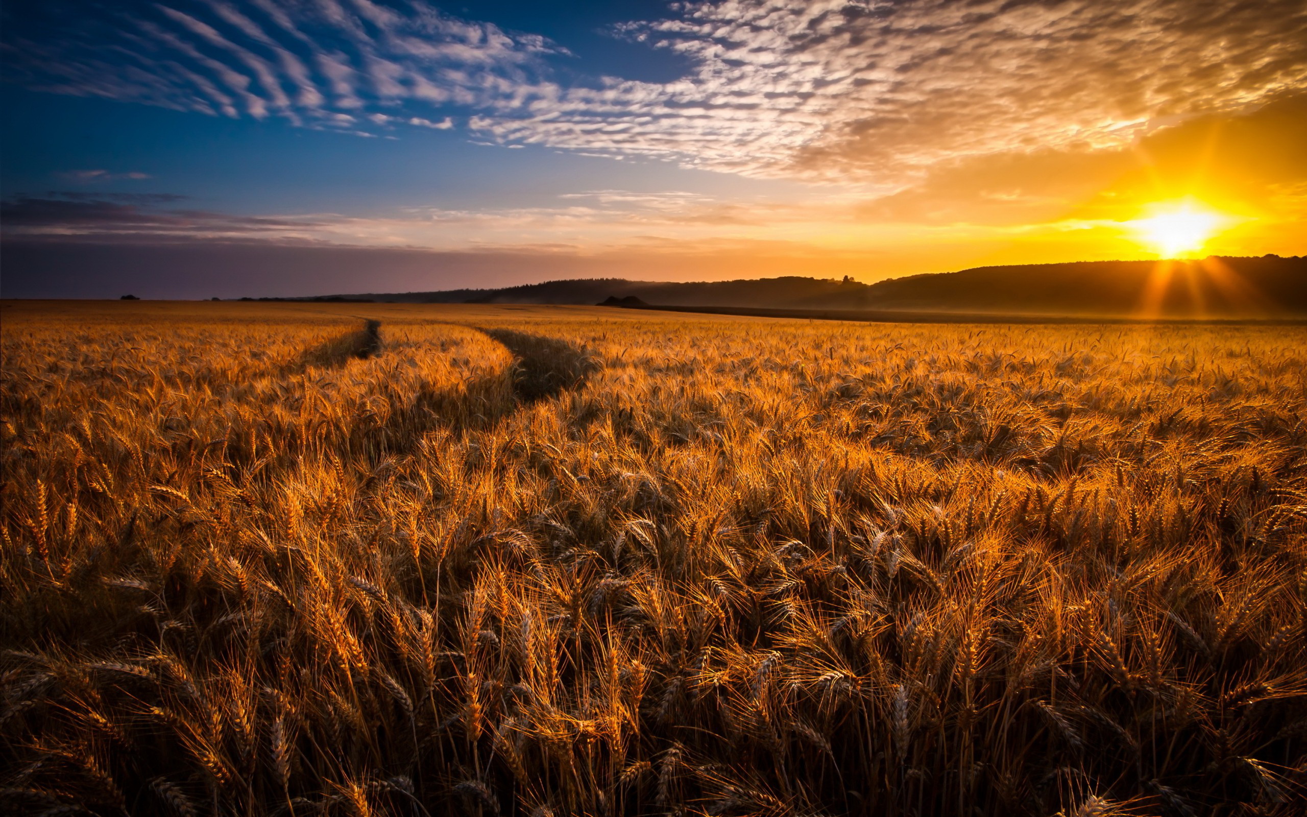 wallpaper de,sky,natural landscape,nature,field,horizon (#136687 ...
