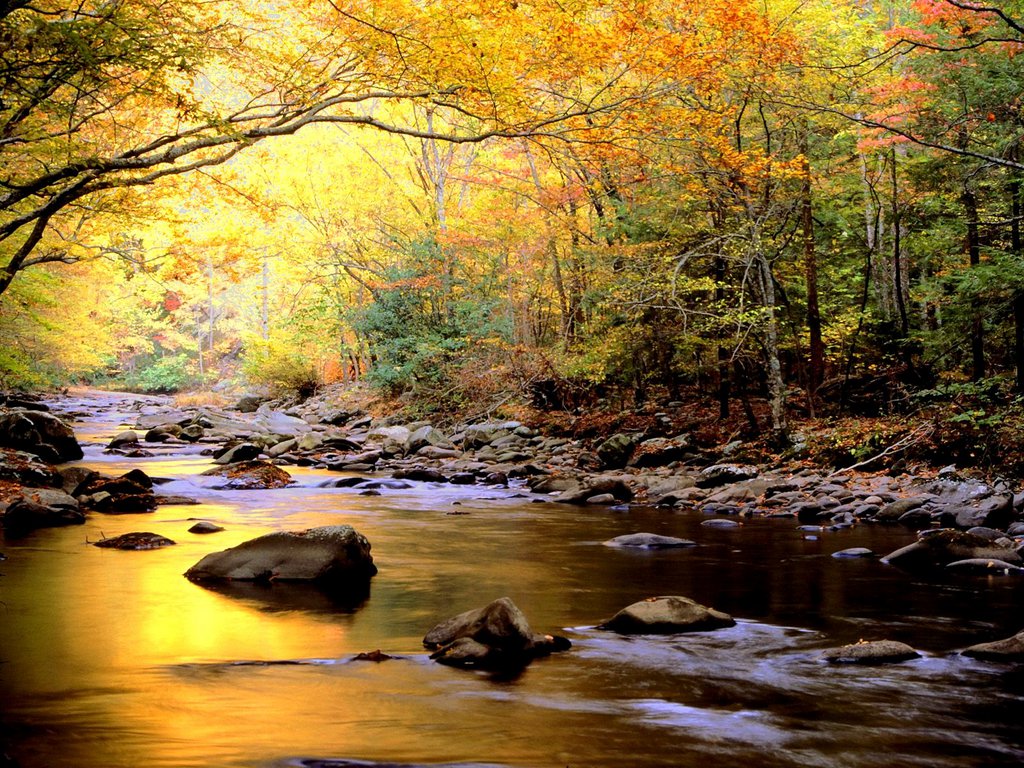 Beatiful Streams - Beautiful Streams And Rivers- WallpaperUse