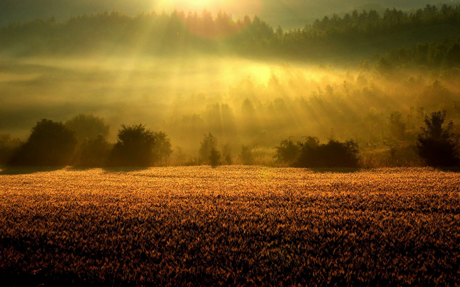 wallpaper images photo,nature,atmospheric phenomenon,sky,natural ...