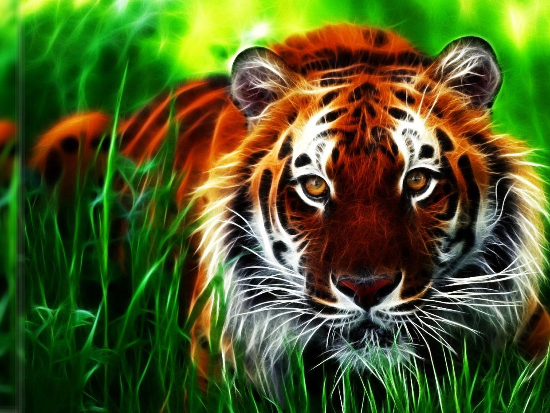 alto fondo de pantalla hd,tigre,fauna silvestre,tigre de bengala,animal ...