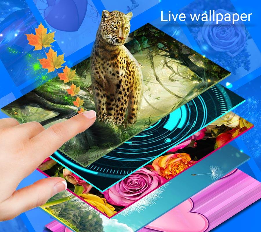 theme live wallpaper,turtle,sea turtle,organism,reptile,tortoise ...