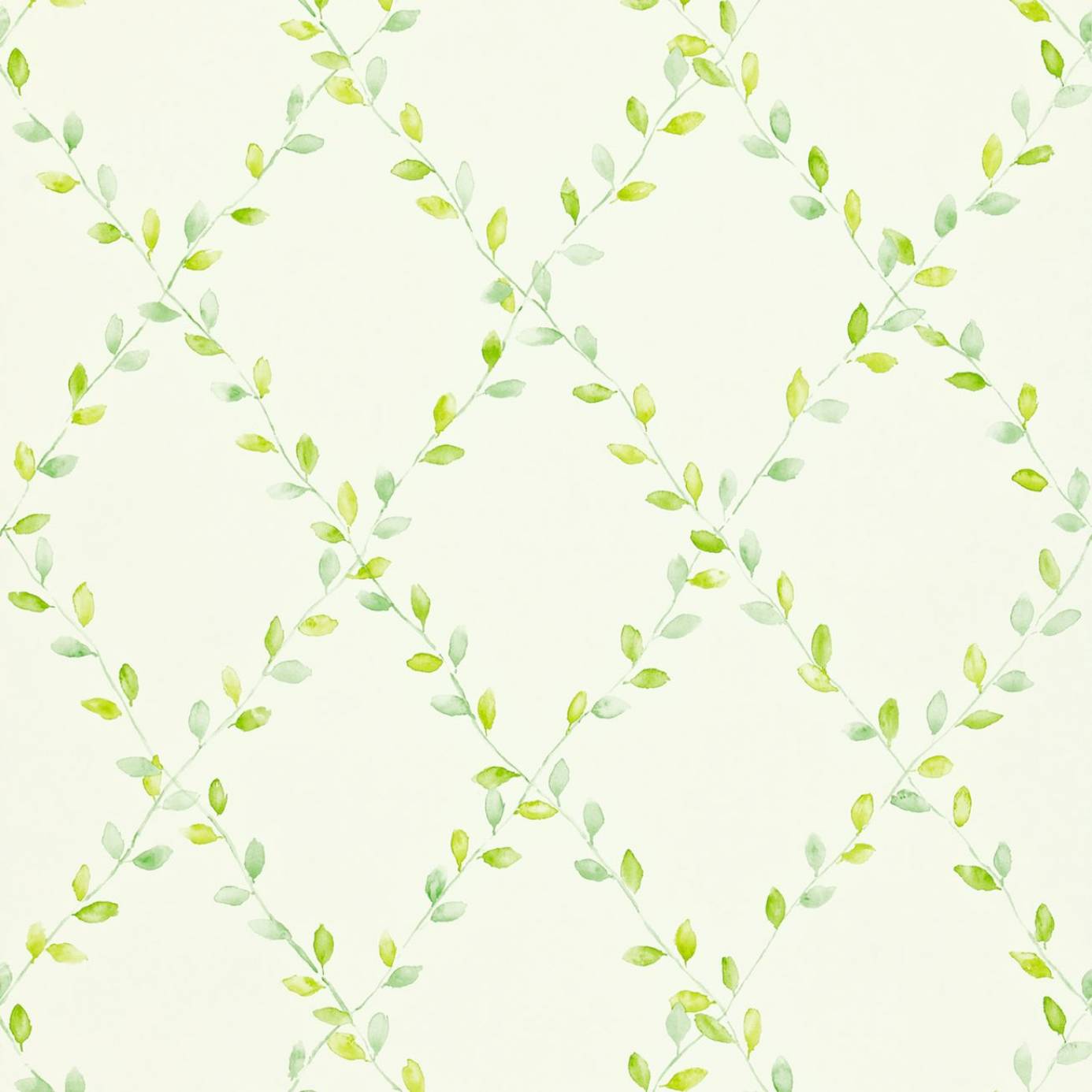 trellis wallpaper,green,pattern,line,design,pedicel (#152295 ...