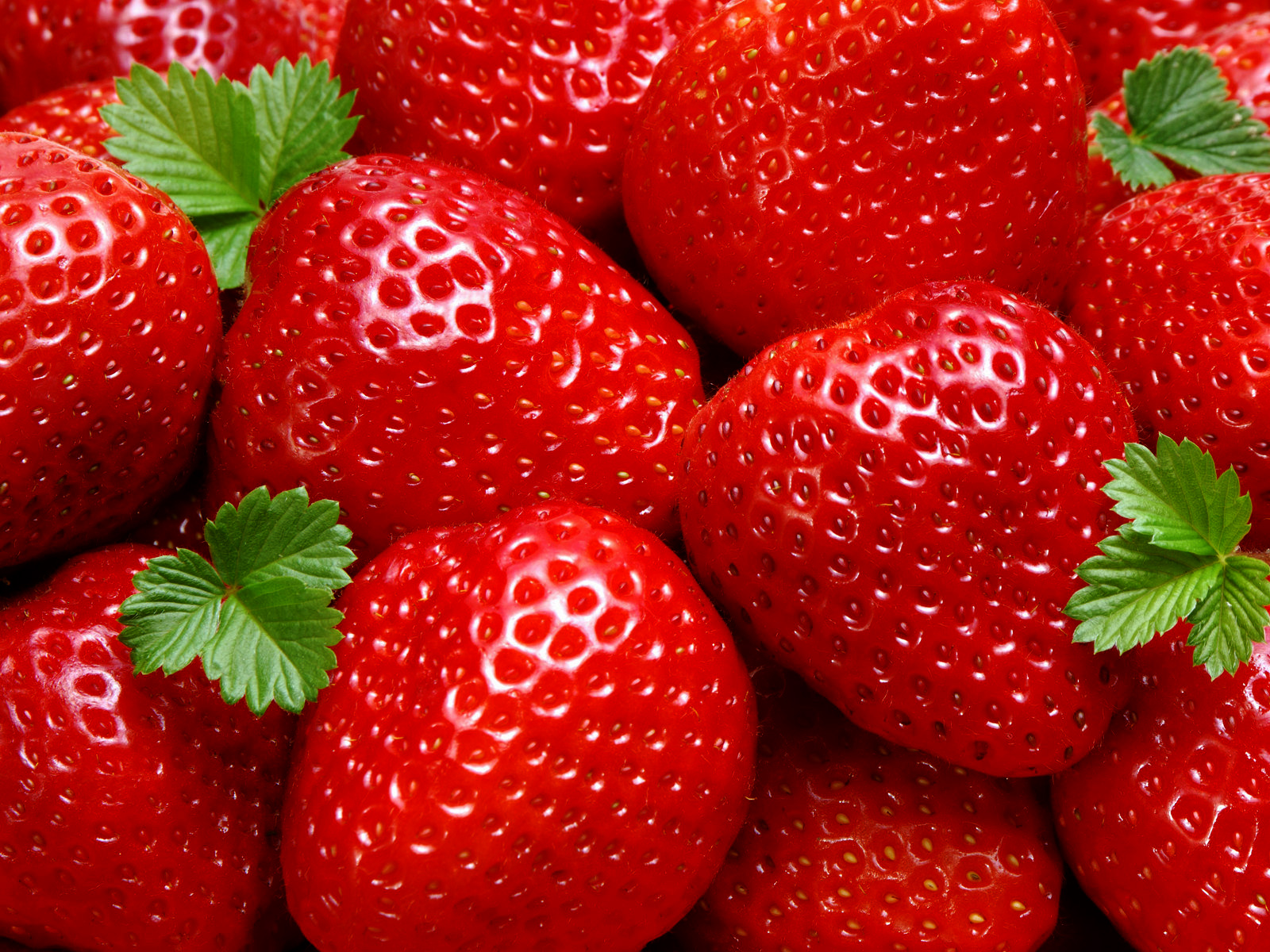 fruit wallpaper hd,natural foods,strawberry,strawberries,fruit,berry ...
