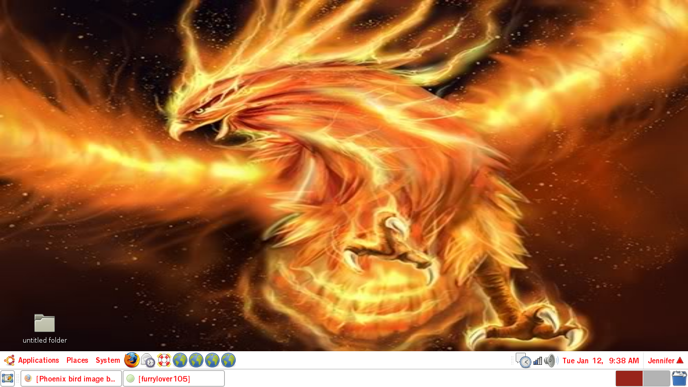 Angry Phoenix Bird- WallpaperUse