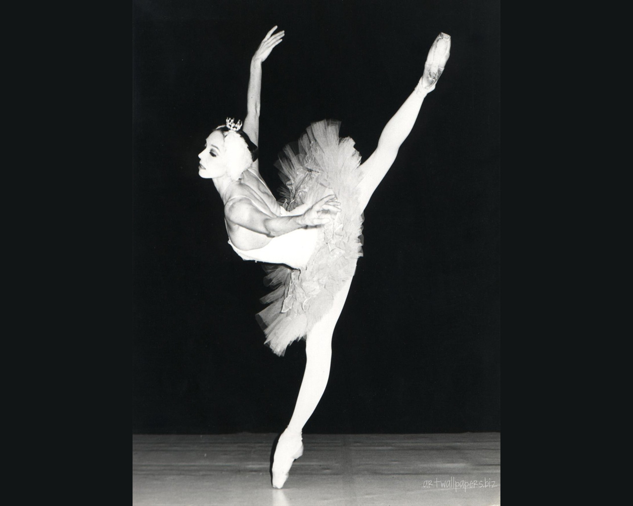 ballet wallpaper,dancer,athletic dance move,ballet,ballet dancer ...