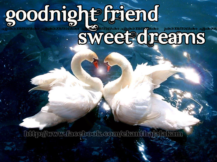 new good night wallpaper,swan,bird,water bird,ducks, geese and swans ...