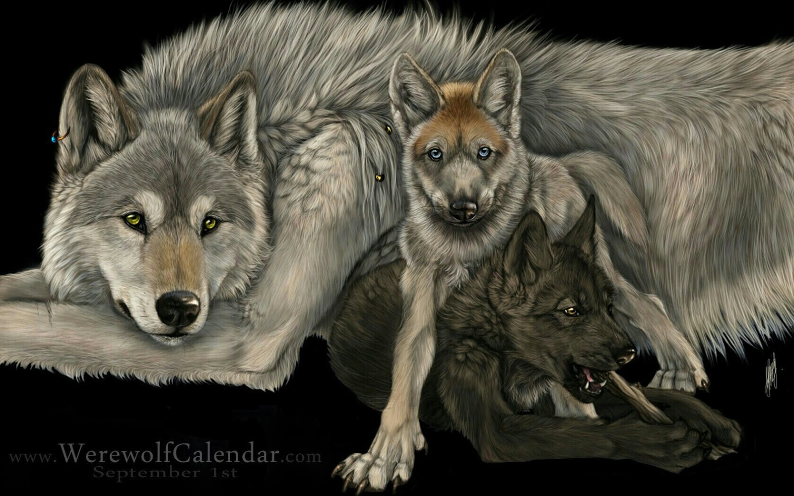 Werewolf And Her Puppies- WallpaperUse