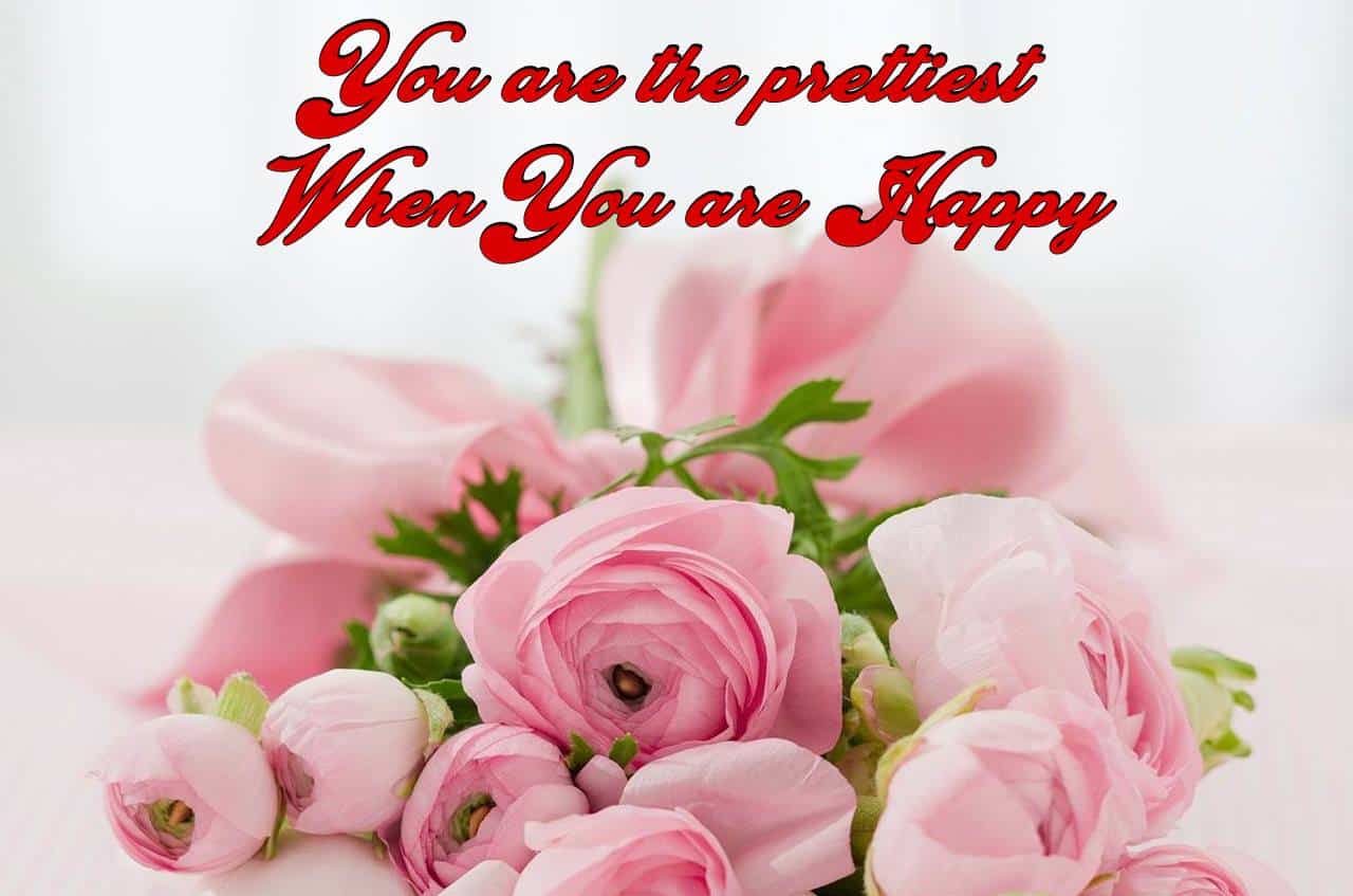 gulab ka phool wallpaper hd,pink,cut flowers,garden roses,flower,petal ...