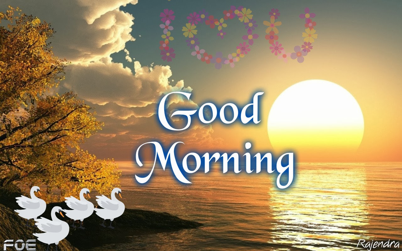 Fresh Good Morning Hd- WallpaperUse