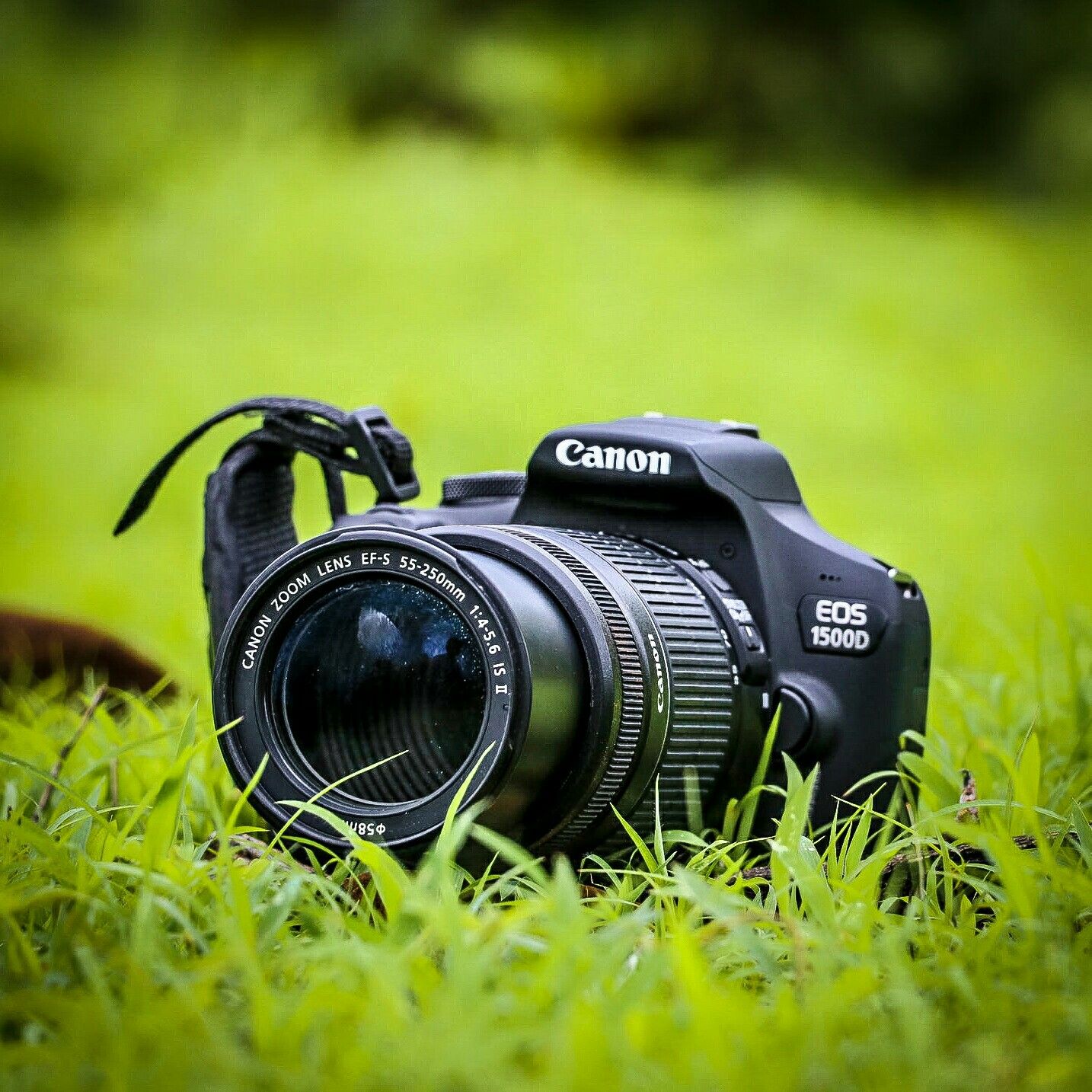 Photography Canon Camera- WallpaperUse
