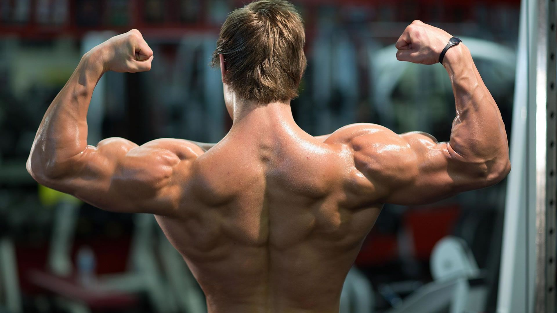 jeff ha visto sfondi hd,bodybuilder,bodybuilding,barechested,spalla ...