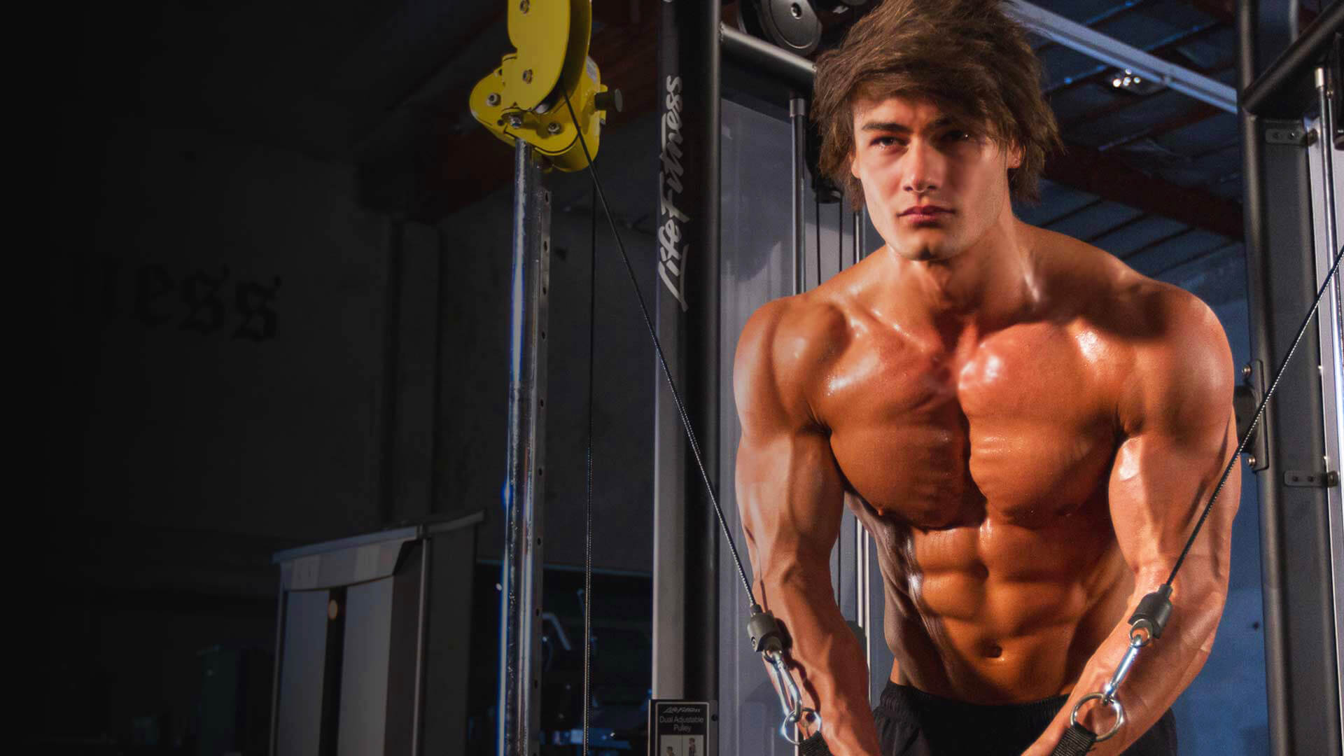 Jeff Seid Hd Wallpapers Bodybuilder Barechested Bodybuilding Muscle