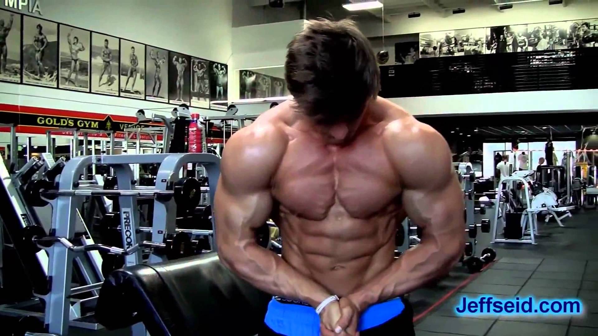 jeff seid hd wallpaper,bodybuilding,schulter,bodybuilder,körperliche ...