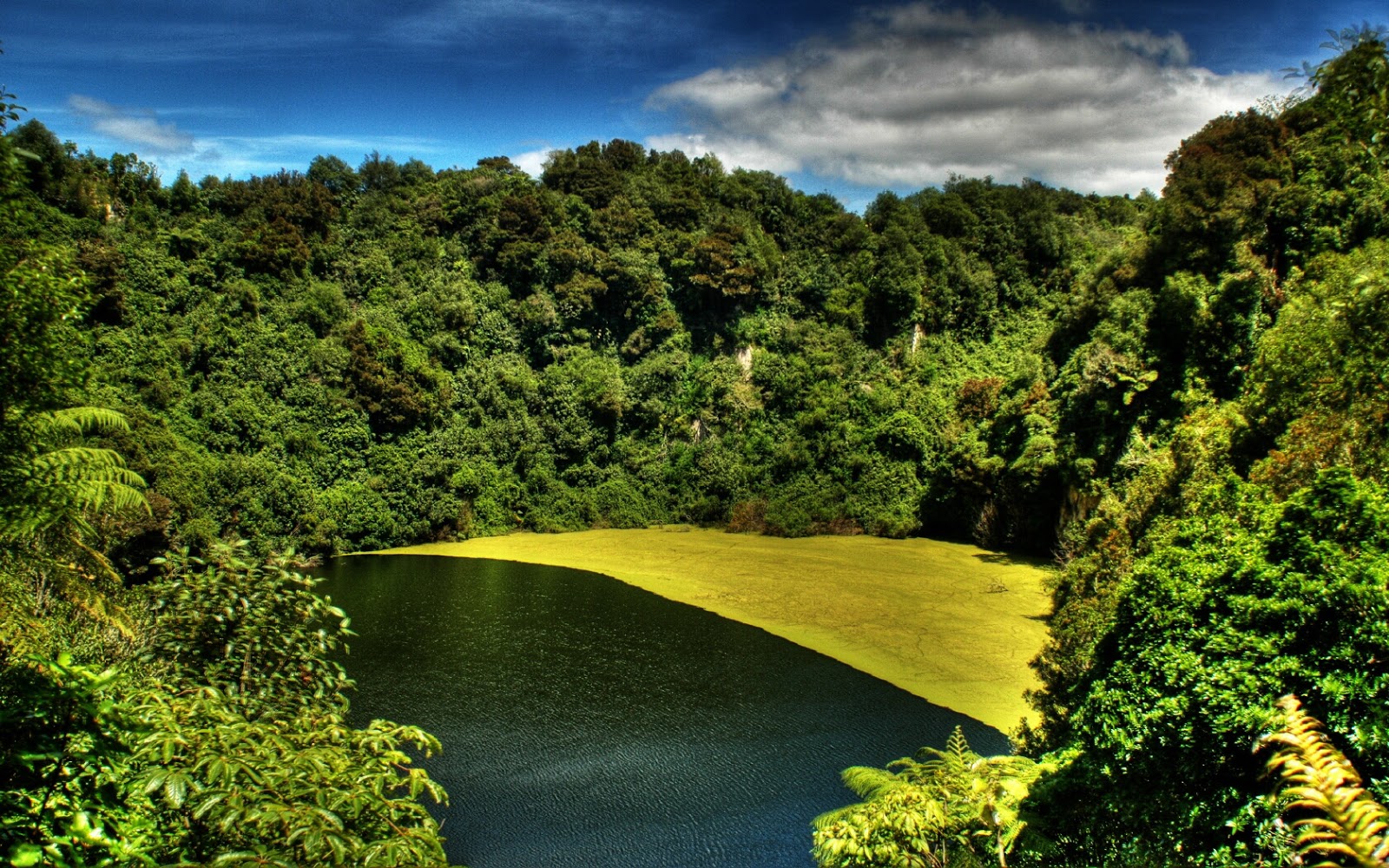 superb wallpapers hd,natural landscape,nature,vegetation,water ...