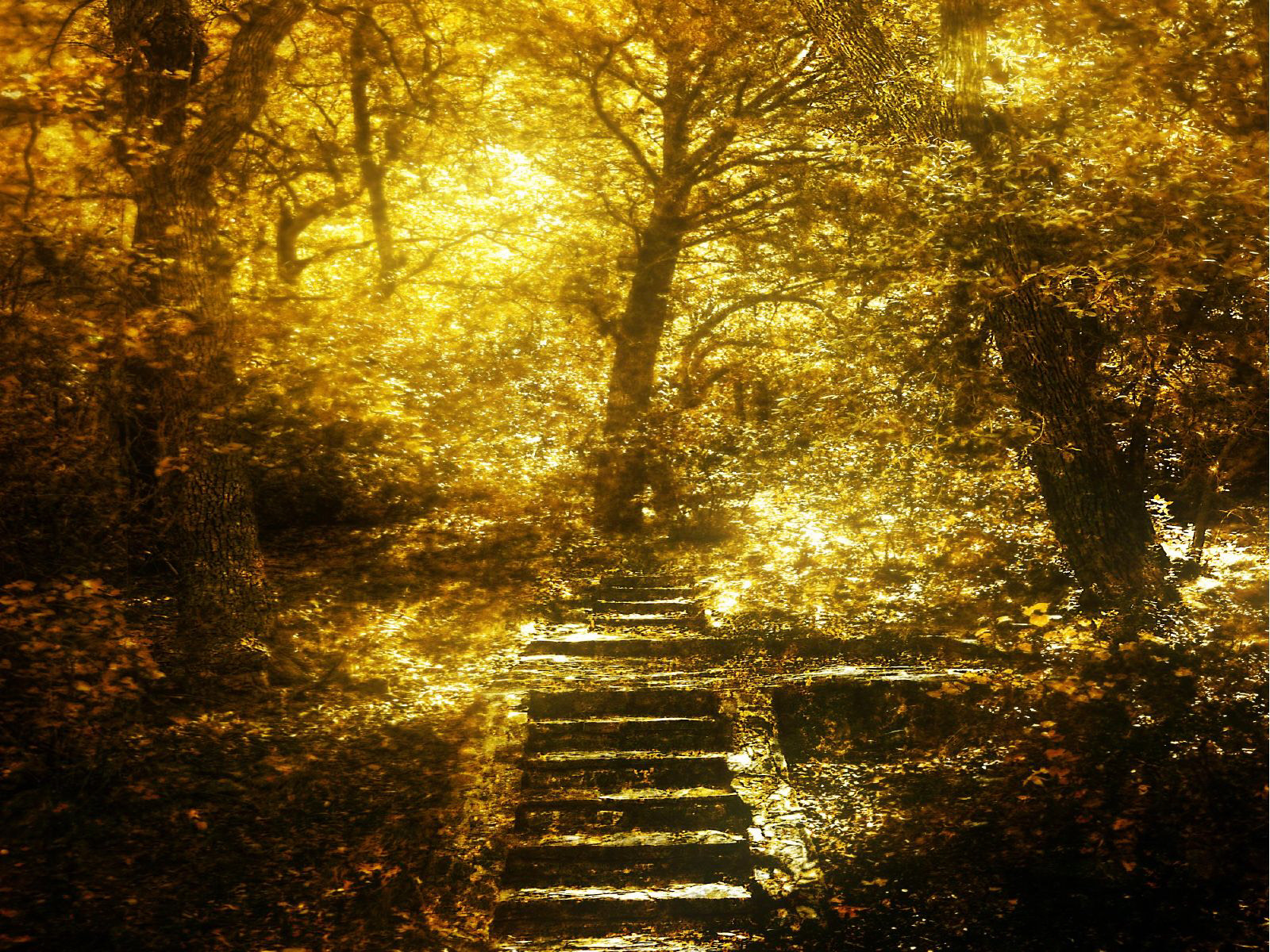 Superb Nature- WallpaperUse