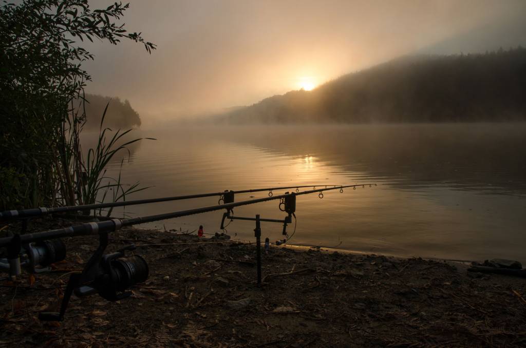 Hd Wallpapers Carp Fishing- WallpaperUse