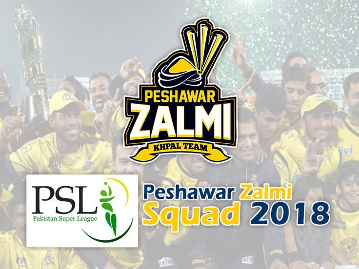 peshawar zalmi wallpaper,yellow,font,logo,competition event,graphics ...