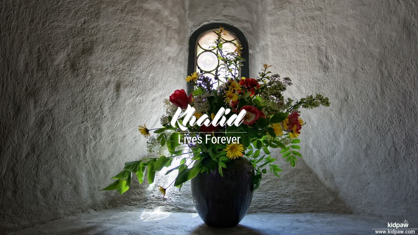 Khalid Wallpaper - Khalid Name Meaning In Hindi- WallpaperUse