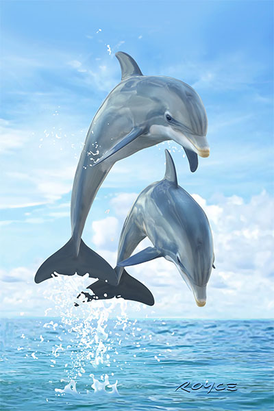 Baby Cute Real Life Dolphins- WallpaperUse