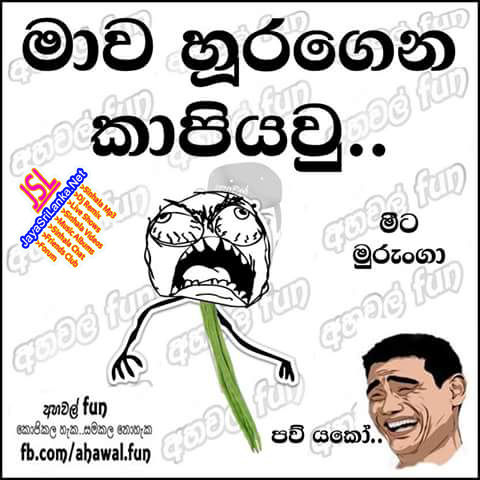Sinhala Joke - Fb Jokes Photos Download- WallpaperUse